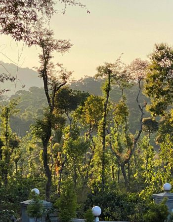 Luxury villa in coorg - private villa - best villa - Photos
